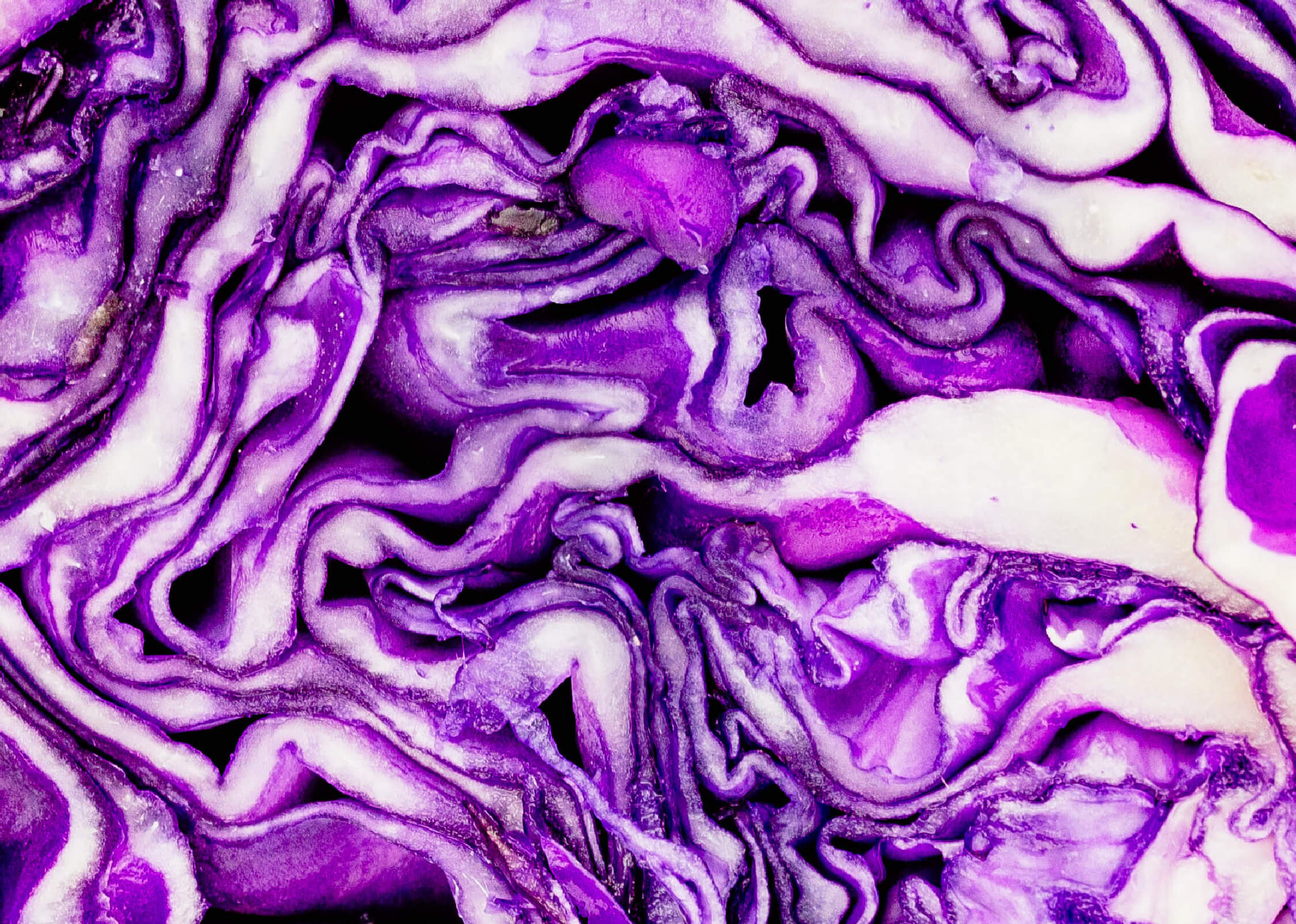 Thistle Meals Are Packed With Prebiotics And Probiotics Here s Why